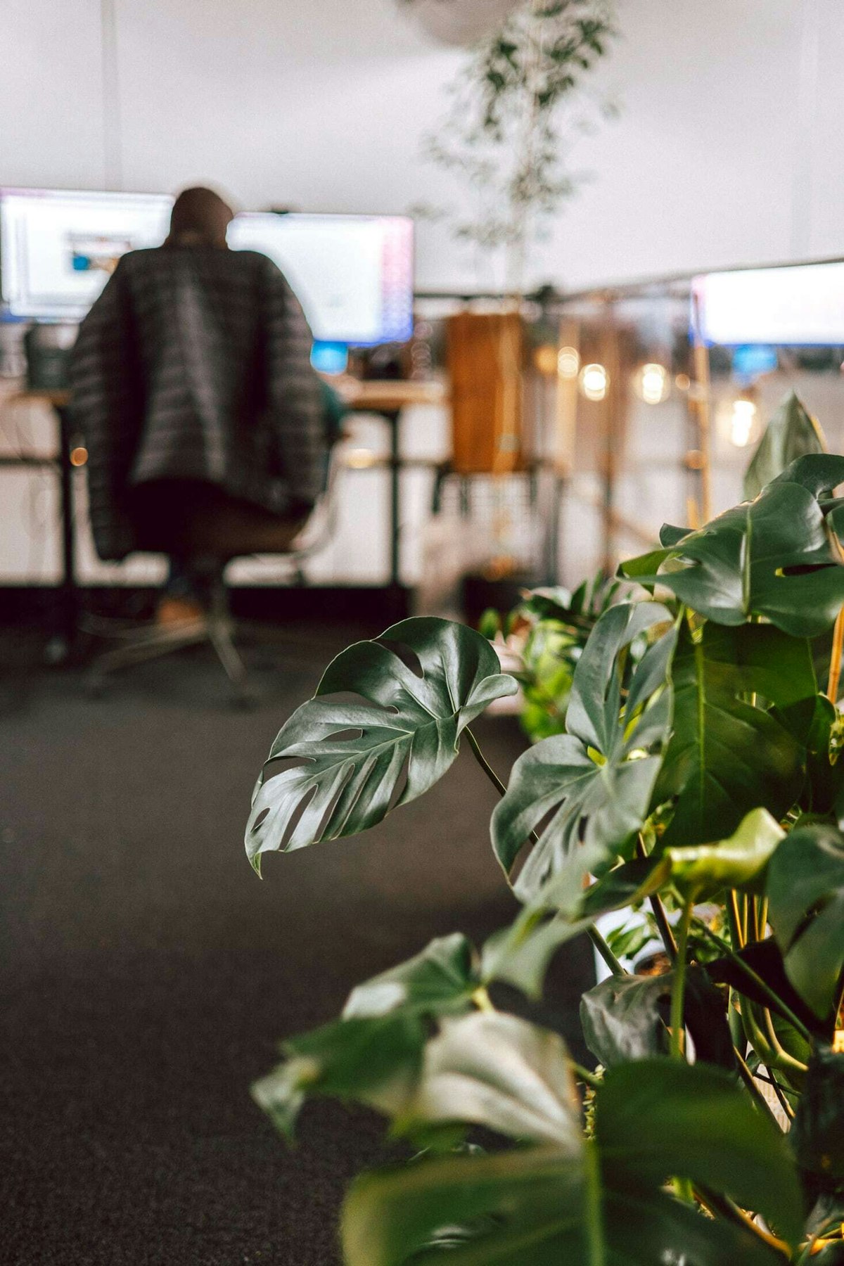 Bonfire Studios | Boston Area Web Design and Development Agency